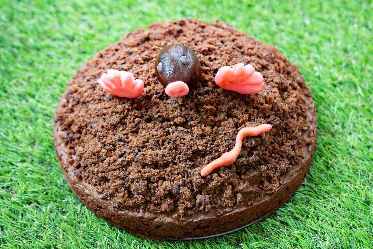 German Mole Cake ⋆ My German Recipes