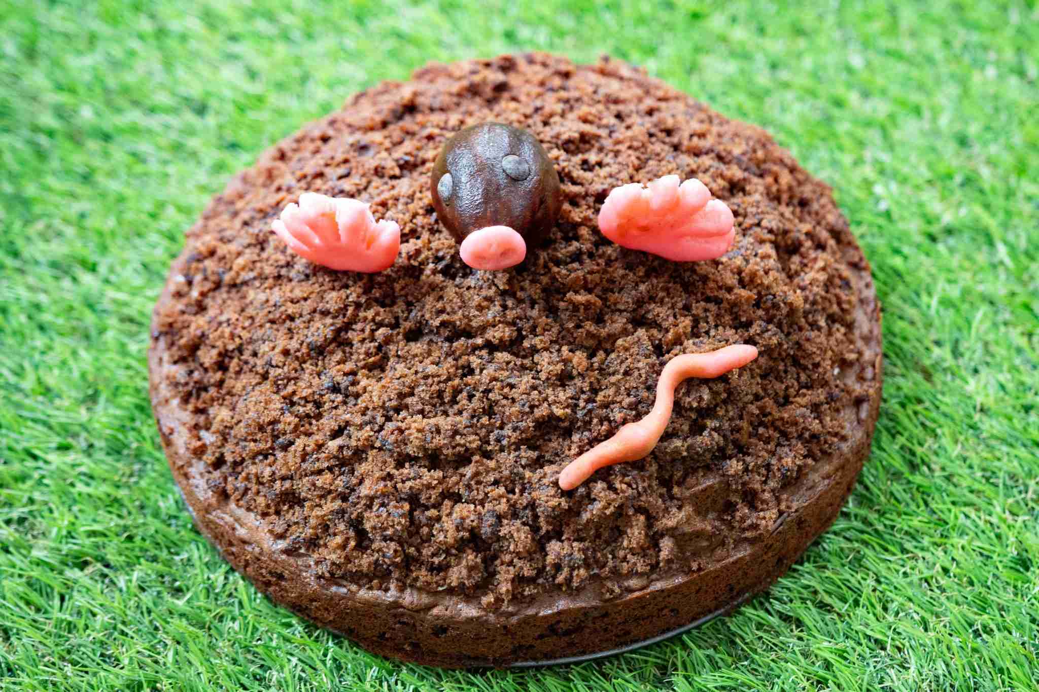 German Mole Cake ⋆ My German Recipes